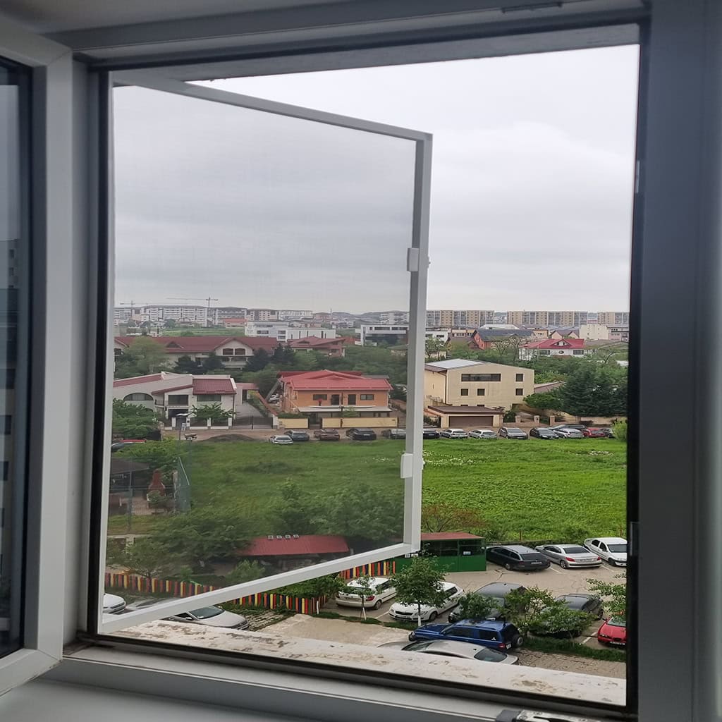 Plase Tantari pe Balamale Protectie Practica locuinta ta